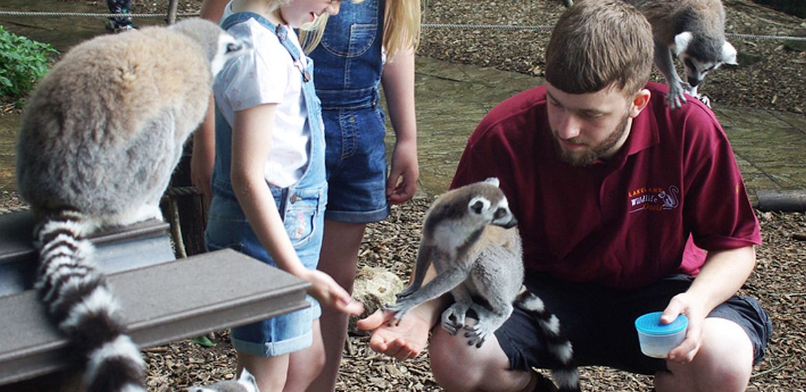 Things To Do In Morecambe - The Clarendon Hotel Morecambe